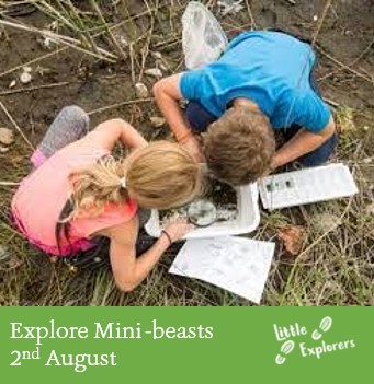 Burton Constable :: Explore Mini Beasts :: East Yorkshires Finest ...