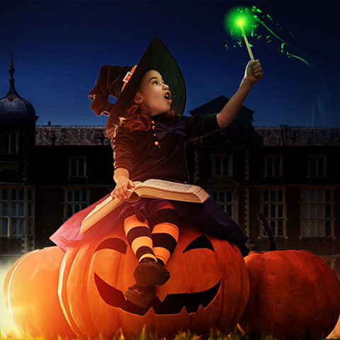 Burton Constable :: Burton Constable Hall & Grounds: Elizabethan gem in ...