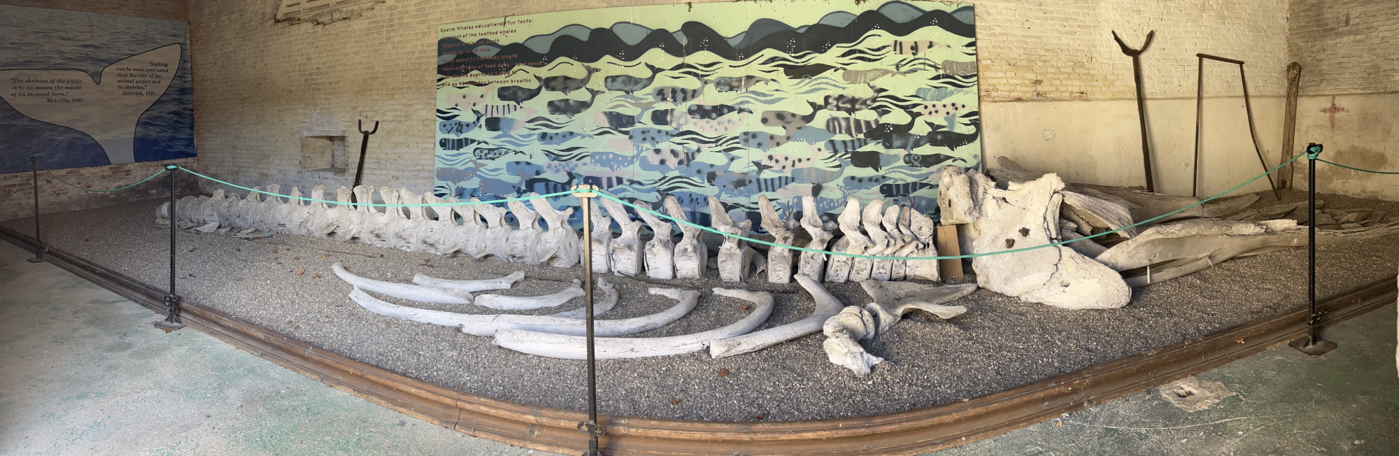 Burton Constable :: Saving Constable Moby: Restoring our Historic Whale ...